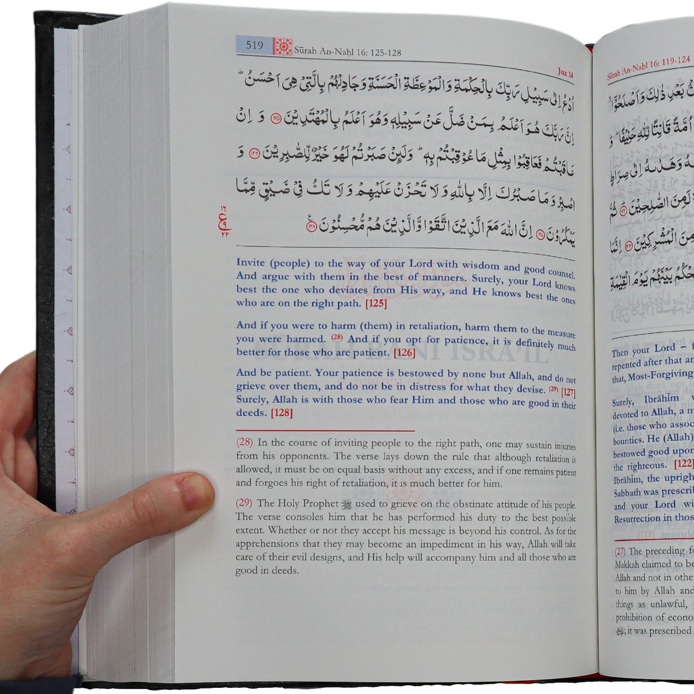 The Noble Quran With Explanatory Notes - Taqi Usmani | Darussalam ...